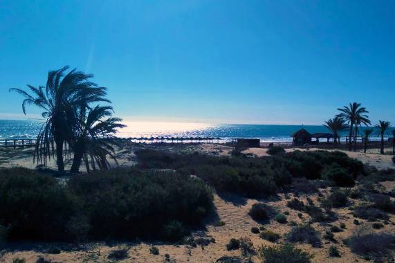 Top Five Live Music Bars in Alicante - Alicante Blog