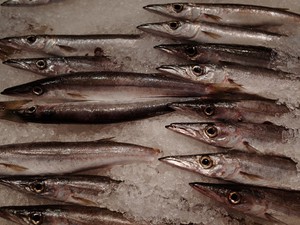 Salted Fish - Must have Seafood while in Alicante - Alicante Blog