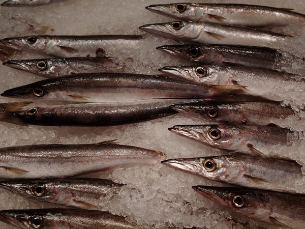 Salted Fish - Must have Seafood while in Alicante - Alicante Blog